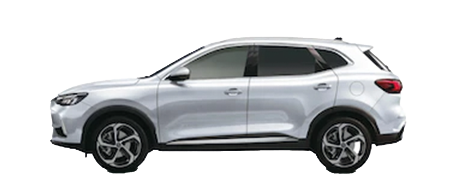 MG EHS – Groupe Legrand